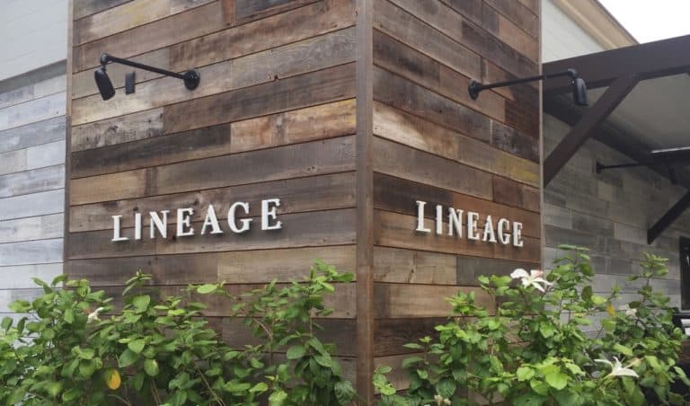 Taste of Lineage Maui - Shops at Wailea | Georgie Hunter